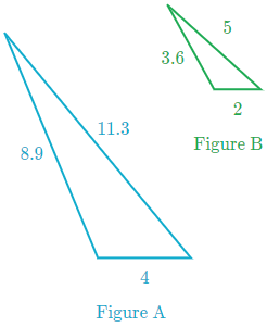 Identify scale copies - Promoting Literacy