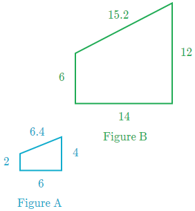 Identify scale copies - Promoting Literacy